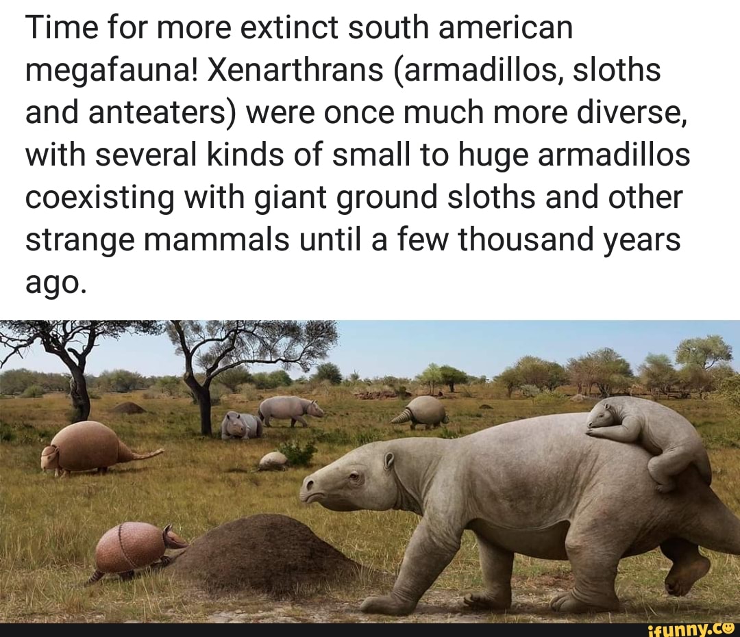 Time for more extinct south american megafauna! Xenarthrans (armadillos, sloths and anteaters ...