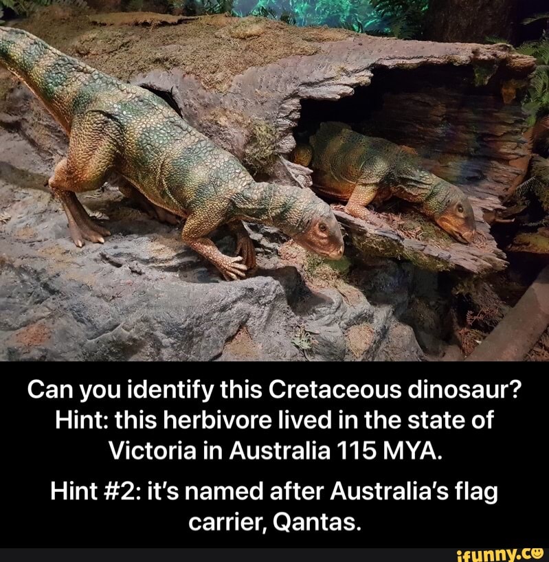 Qantas memes. Best Collection of funny Qantas pictures on iFunny