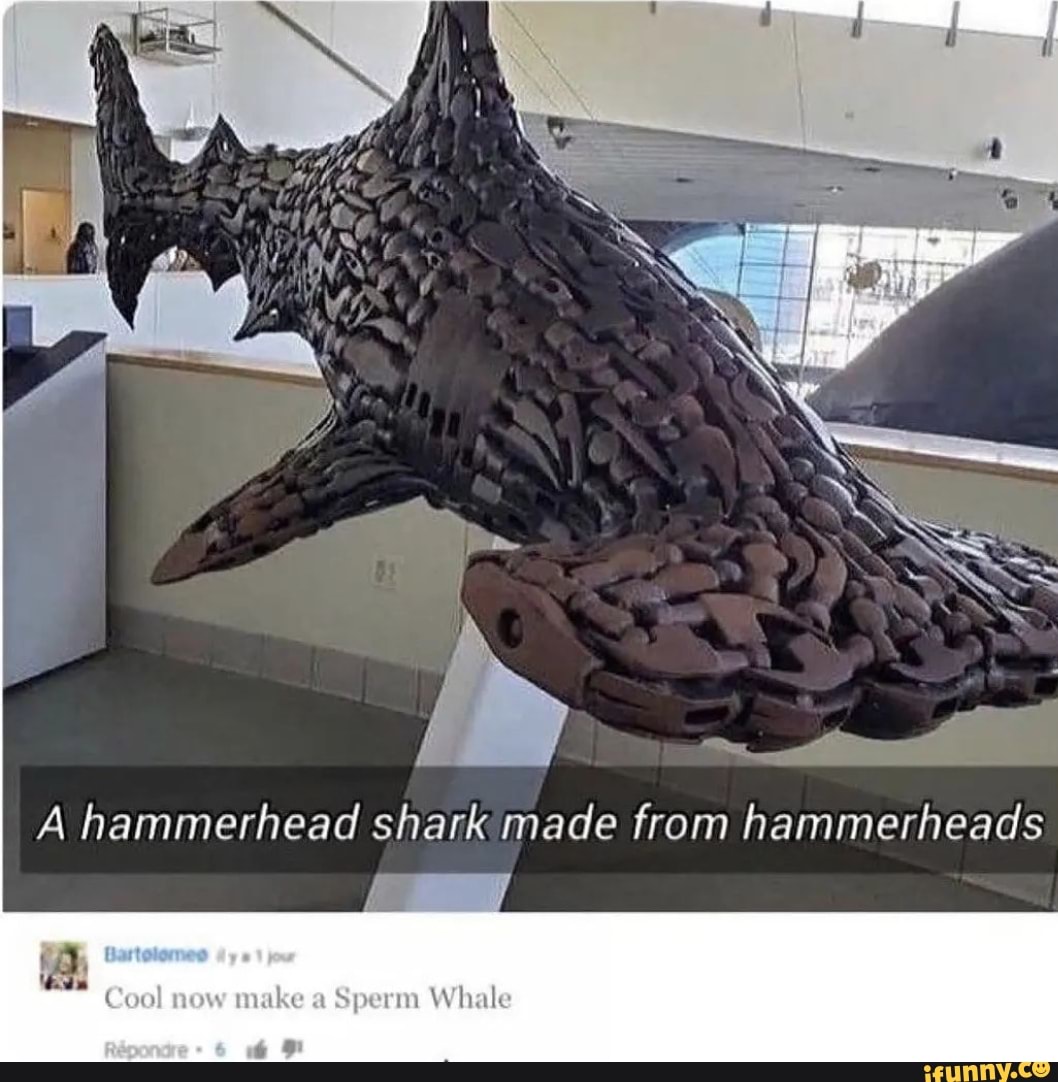 Hammerhead Whale