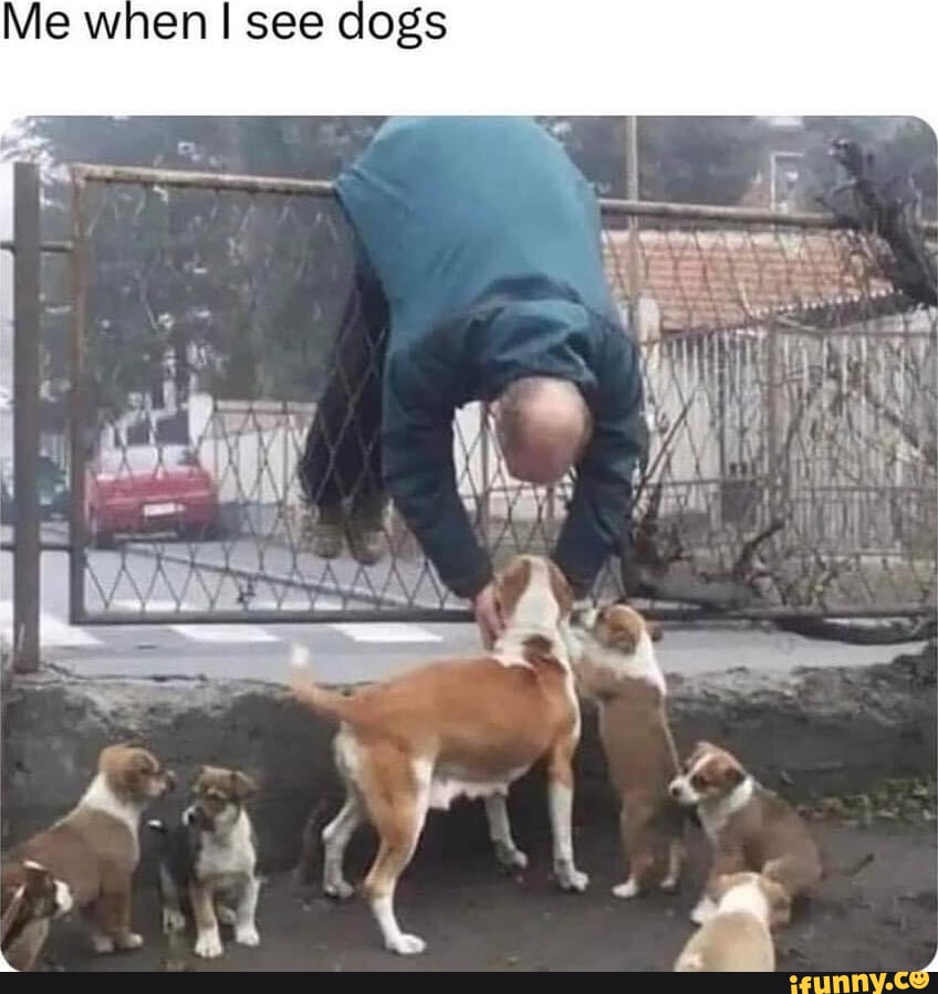 Unironically fantastic can CanYou? - iFunny