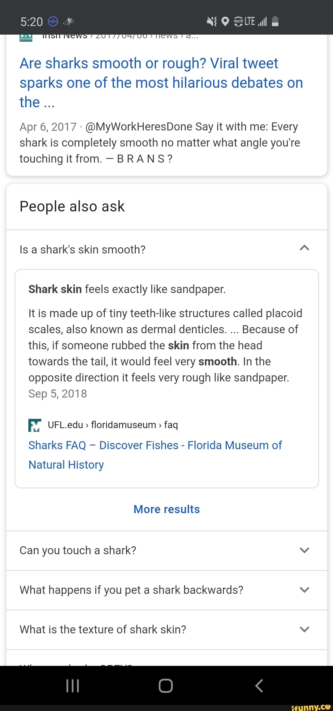 Are sharks smooth or rough? Viral tweet sparks one of the most ...