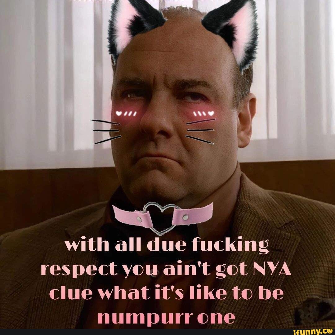 Nya memes. Best Collection of funny Nya pictures on iFunny