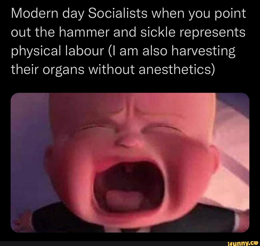 Socialist Meme