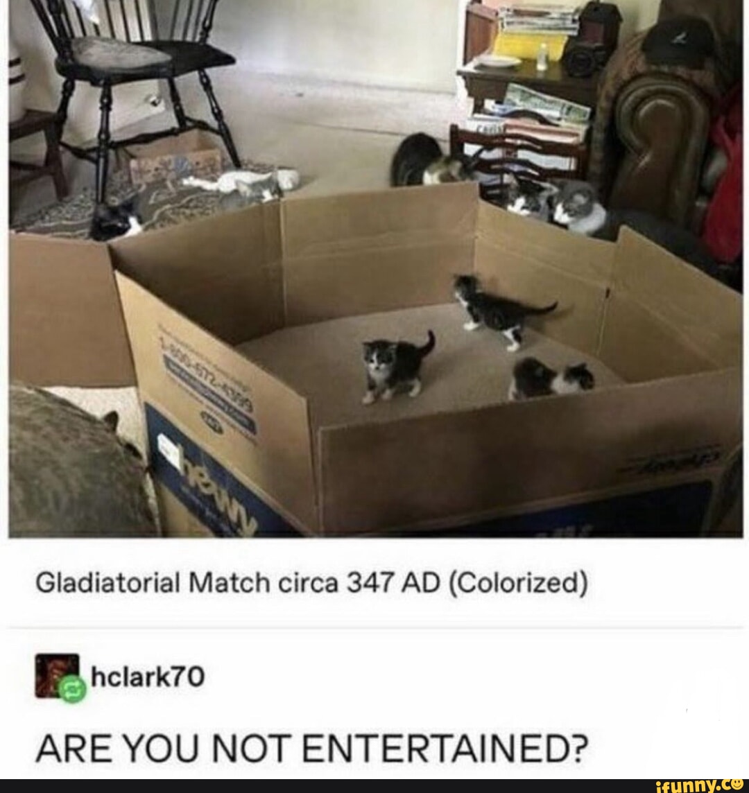Gladiatorial Match circa 347 AD (Colorized) BB rciark7o ARE YOU NOT ...