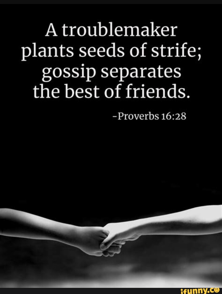 Troublemaker memes. Best Collection of funny Troublemaker pictures on ...