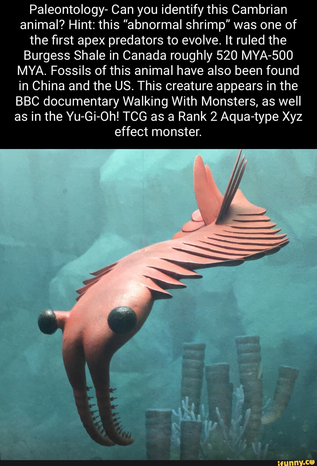 Cambrian memes. Best Collection of funny Cambrian pictures on iFunny