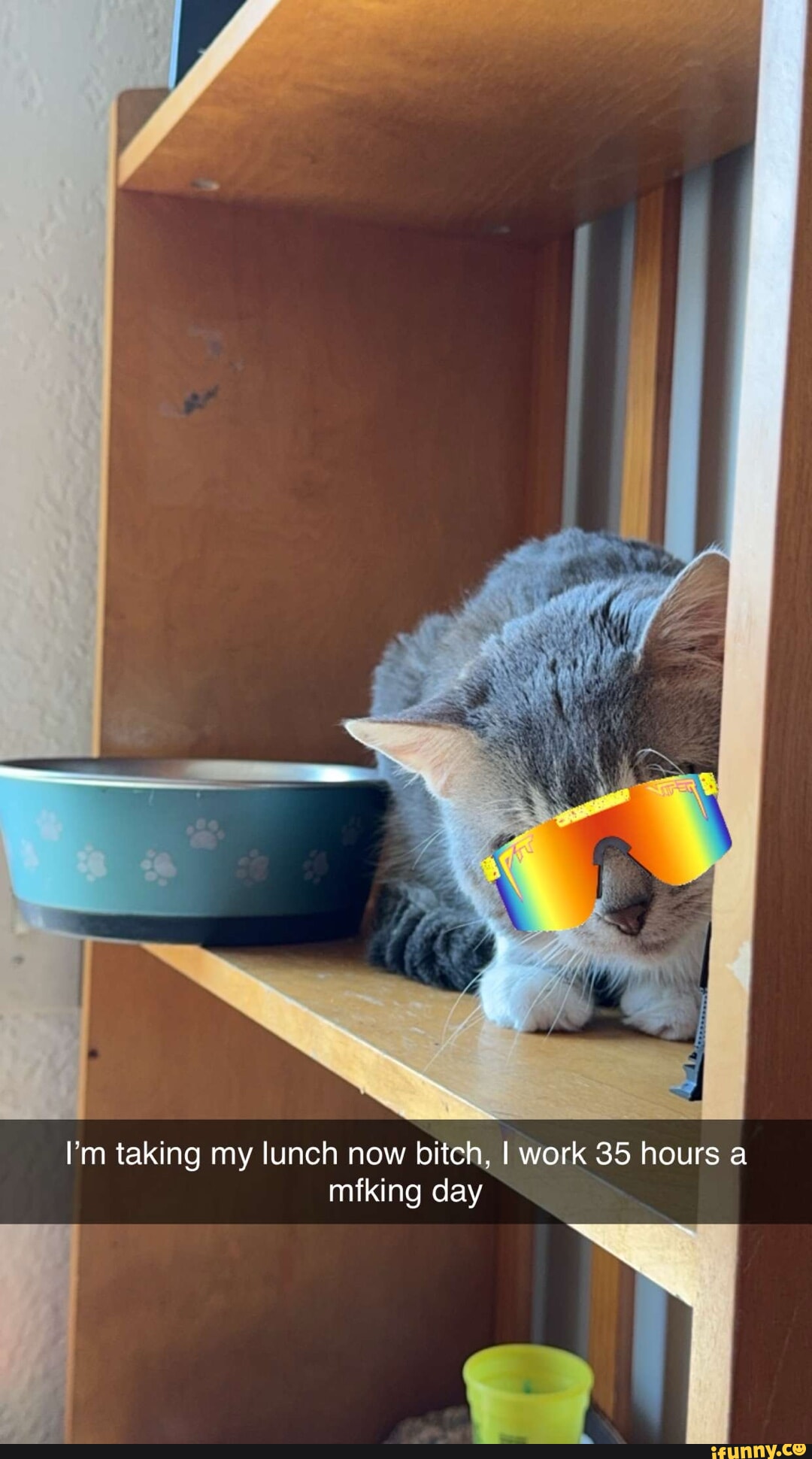 Lunch memes. Best Collection of funny Lunch pictures on iFunny