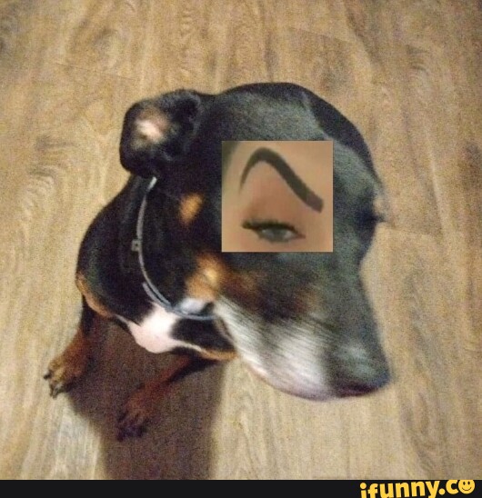 Sarahjuniper memes. Best Collection of funny Sarahjuniper pictures on ...