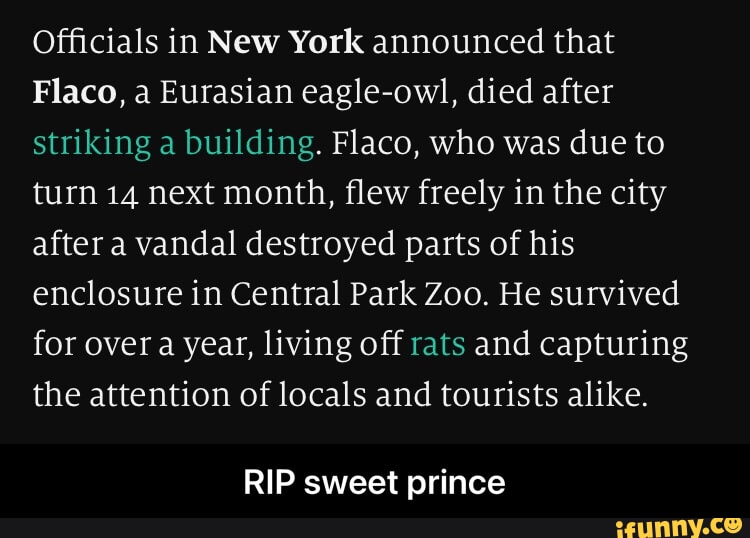 Flaco memes. Best Collection of funny Flaco pictures on iFunny