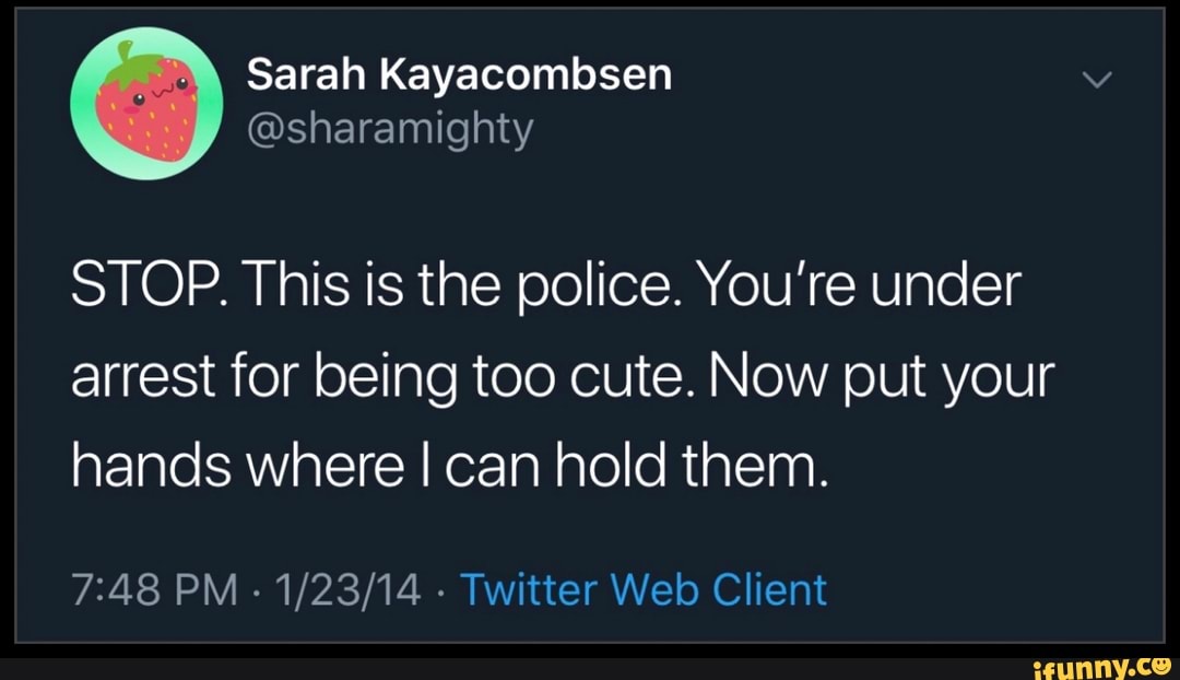 STOP. This is the police. You're under arrest for being too cute. Now ...