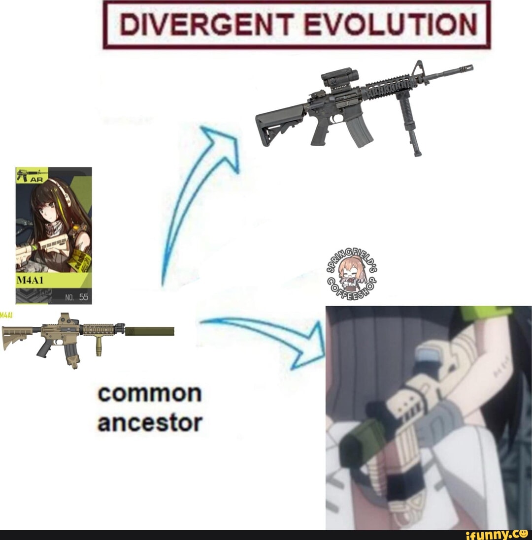 M4a1 memes. Best Collection of funny M4a1 pictures on iFunny