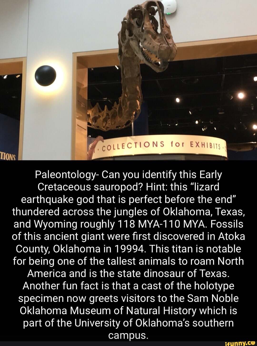 For - Paleontology- Can you identify this Early Cretaceous sauropod ...