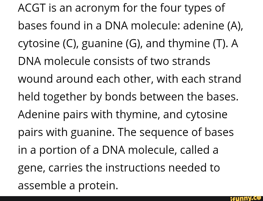 ACGT is an acronym for the four types of bases found in a DNA molecule ...