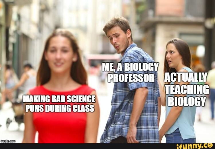 Meiosishaspairsofchromosomestogether memes. Best Collection of funny ...