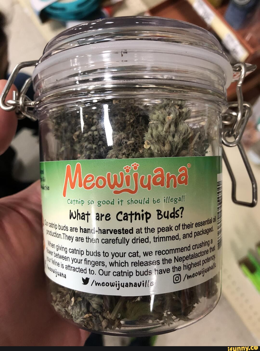 Cathip so good it should be illeg What are Cathip Buds are han at the ...