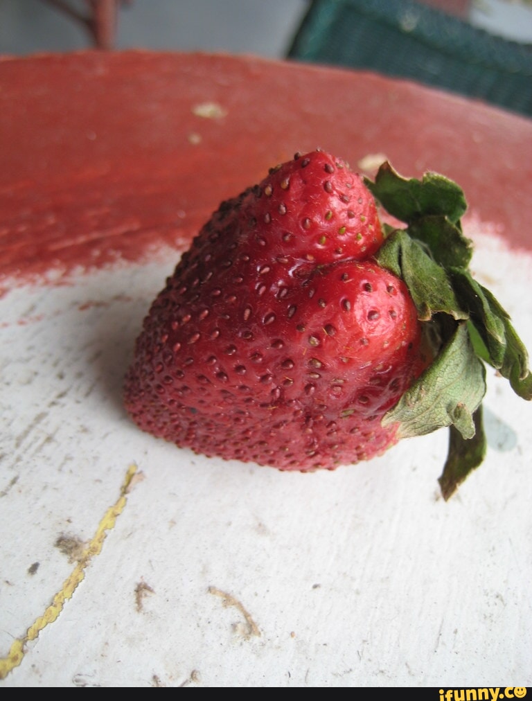 Strawberry memes. Best Collection of funny Strawberry pictures on iFunny