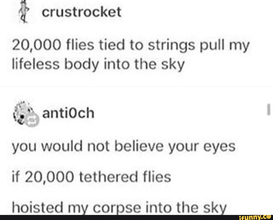 Crustrocket 20,000 flies tied to strings pull my lifeless body into the ...