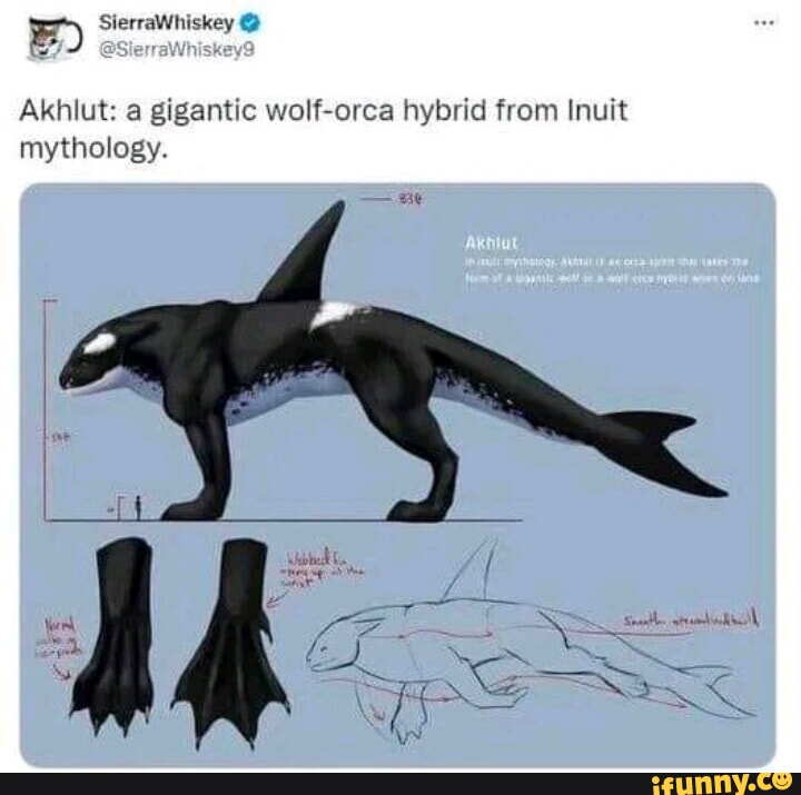 Mythology memes. Best Collection of funny Mythology pictures on iFunny