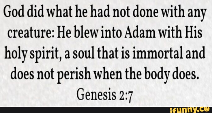 God did what he had not done with any creature: He blew into Adam with ...
