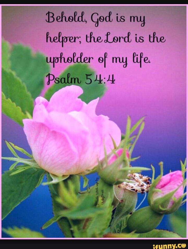 Behold, God is i my helper; the Lord is the uphadr of my Psalm BAL - iFunny