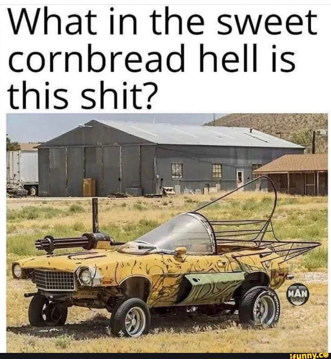 What in the sweet cornbread hell is this shit? - iFunny