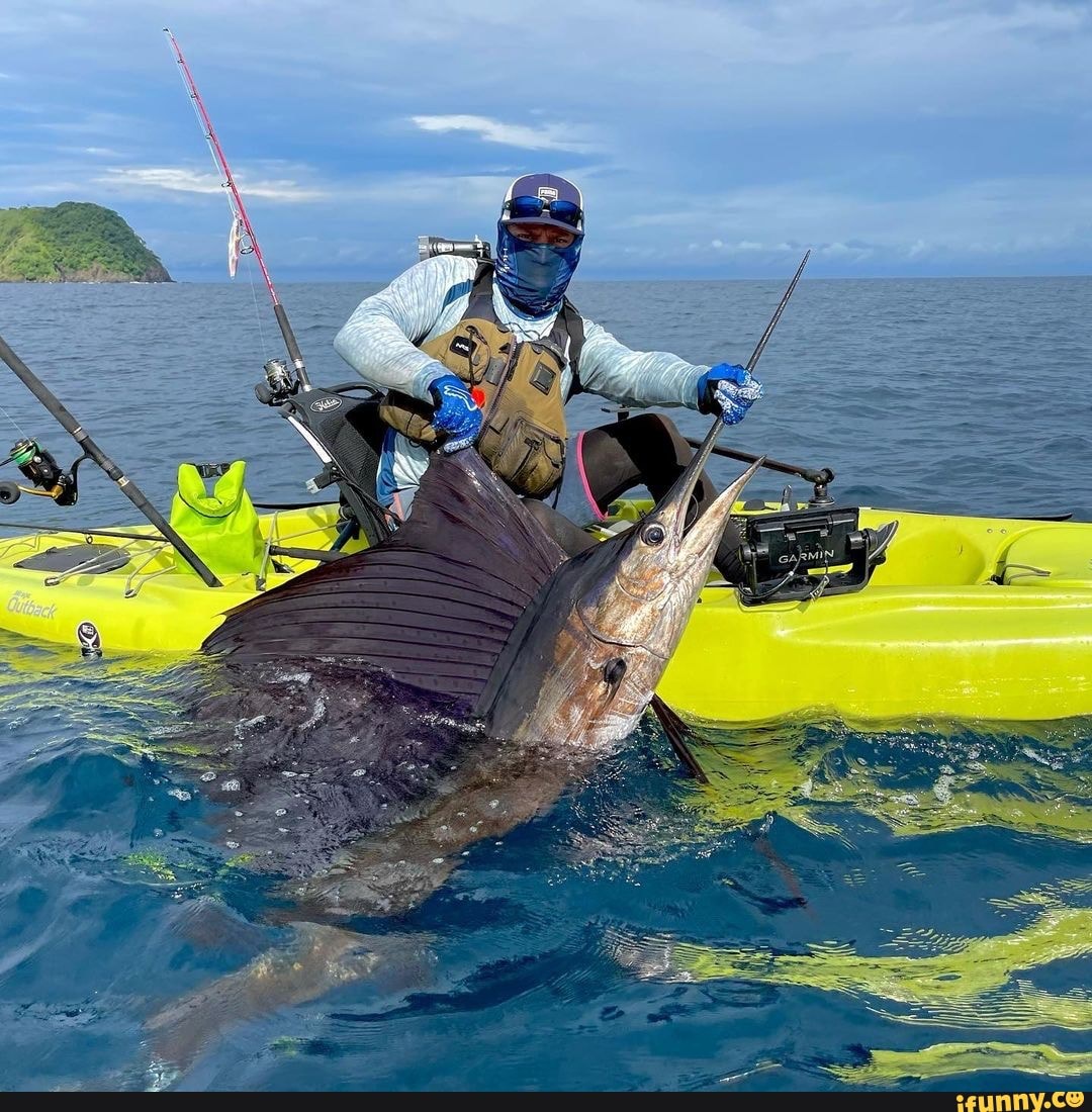 Sailfish memes. Best Collection of funny Sailfish pictures on iFunny