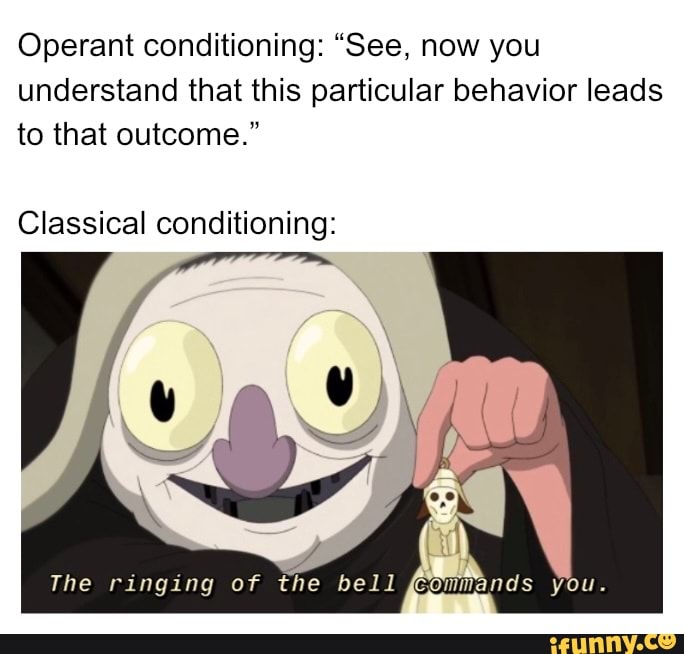 Operant conditioning: "See, now you understand that this particular ...