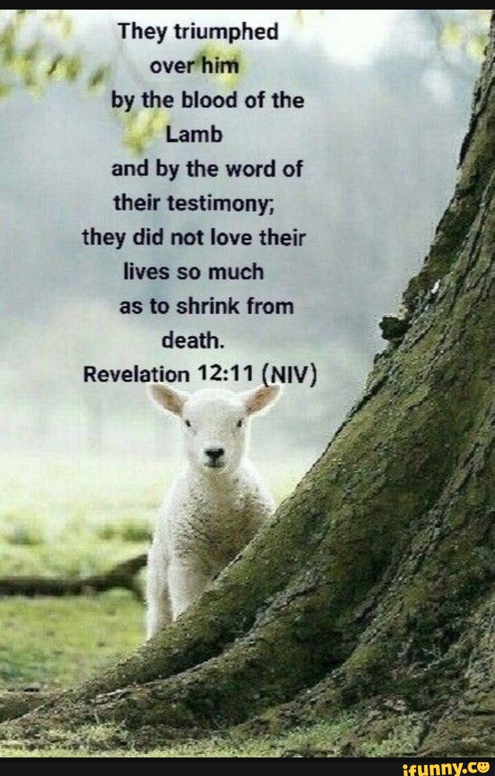 Shrink memes. Best Collection of funny Shrink pictures on iFunny