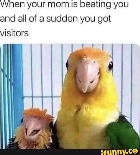 Visitors memes. Best Collection of funny Visitors pictures on iFunny