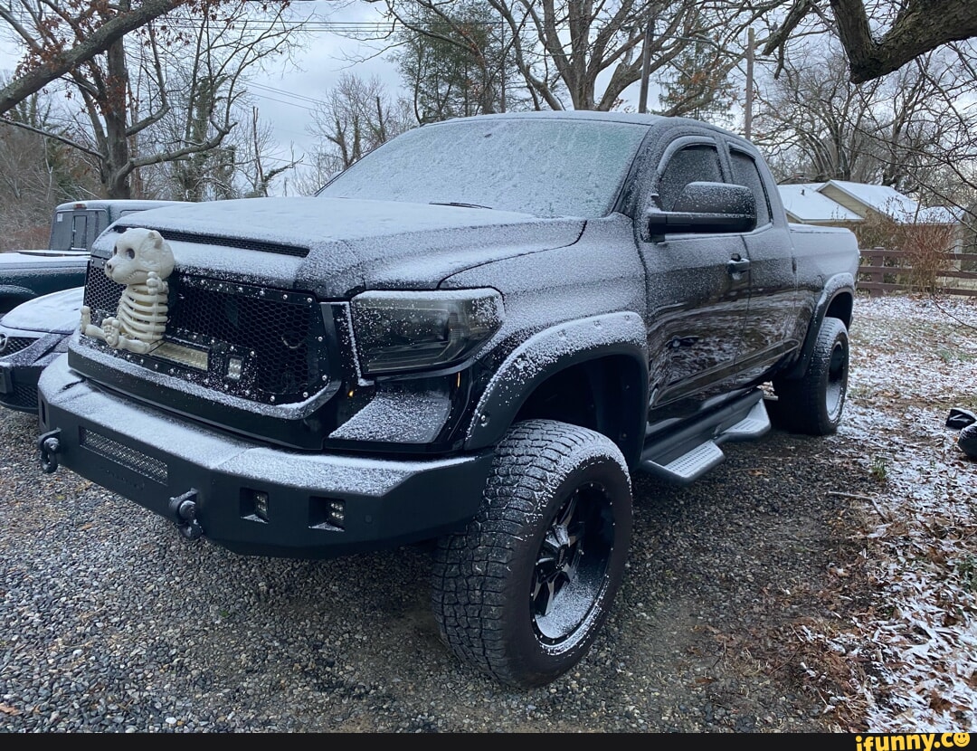 Tundra memes. Best Collection of funny Tundra pictures on iFunny