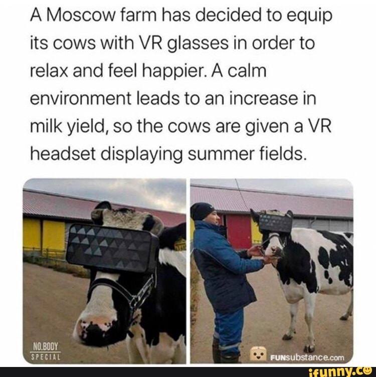 A Moscow farm has decided to equip its cows with VR glasses in order to ...