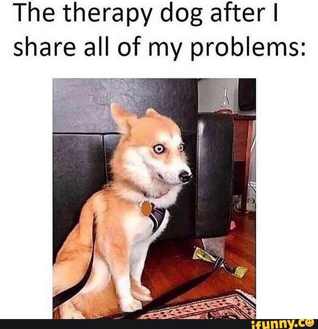 The therapy dog after I share all of my problems: - iFunny