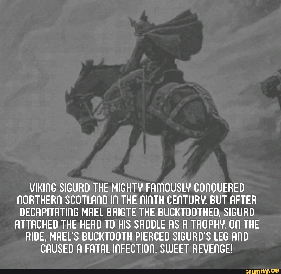 Mael Brigte the Bucktoothed was his real nickname. - VIKING SIGURD THE ...