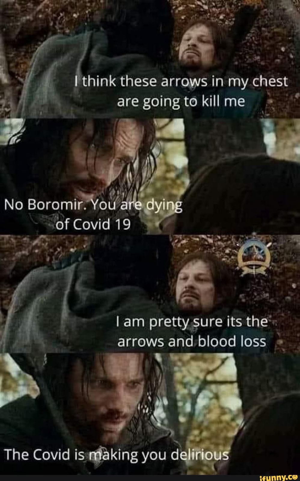 Boromir Arrows