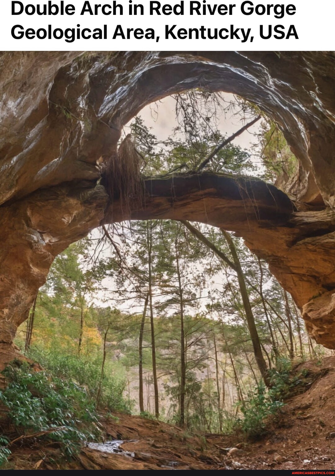 Double Arch in Red River Gorge Geological Area, Kentucky, USA - America ...