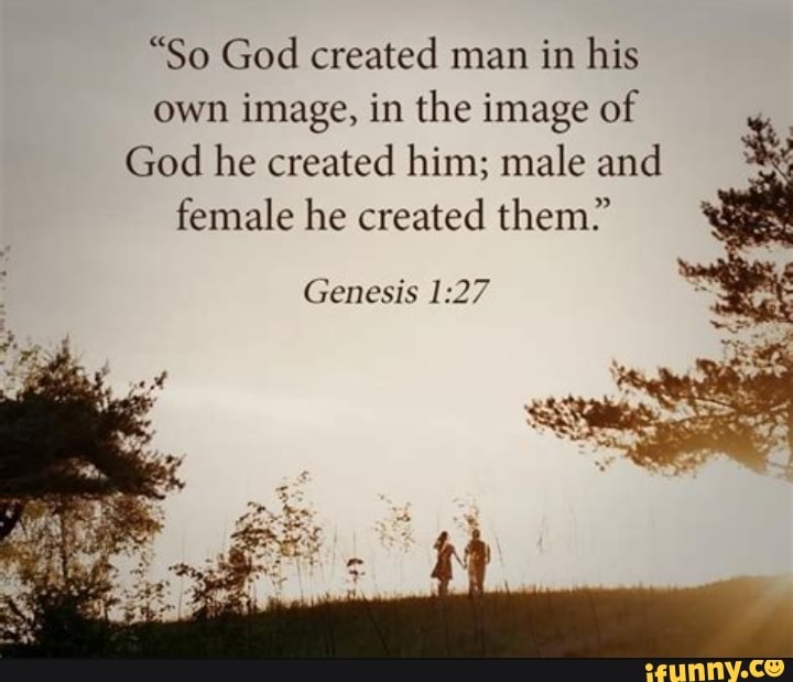 "So God created man in his own image, in the image of God he created ...