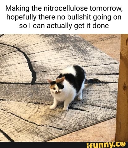 Memes. The best memes on iFunny