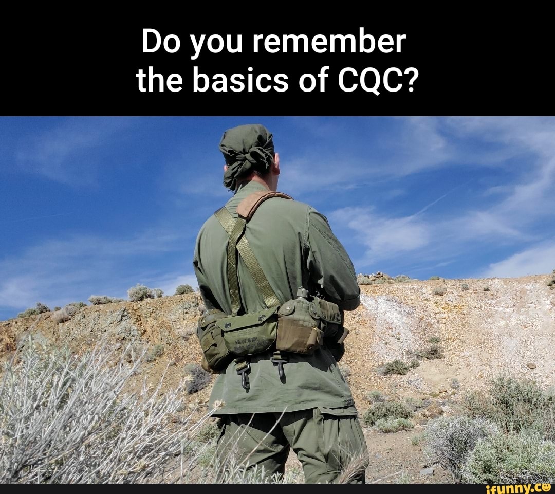 Do you remember the basics of CQC? - iFunny