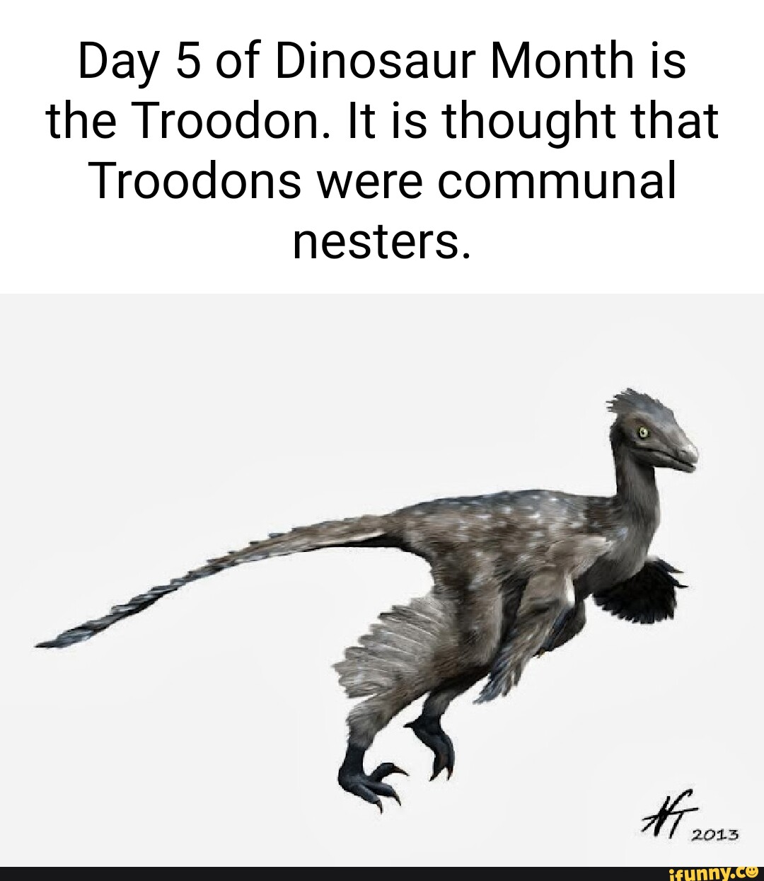 Troodon memes. Best Collection of funny Troodon pictures on iFunny