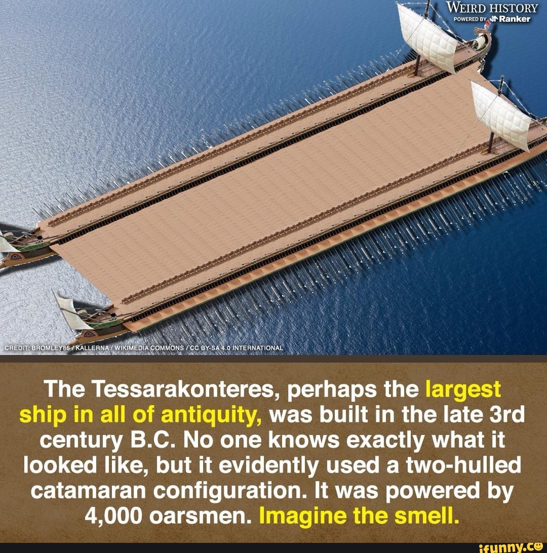 Catamaran memes. Best Collection of funny Catamaran pictures on iFunny