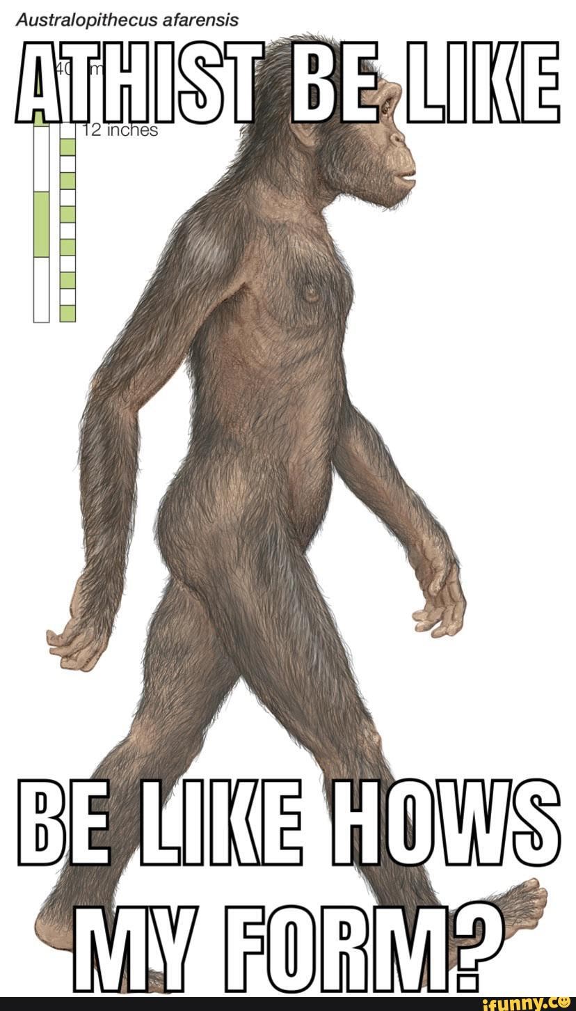 Australopithecus afarensis - iFunny