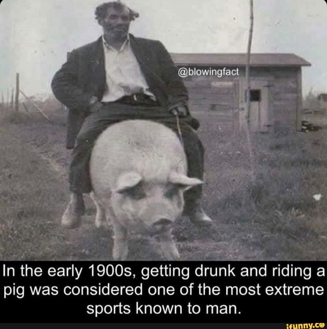 Picture memes zWNlOXYU6 by StoryOfMyFuckingLife_2012: 239 comments - )