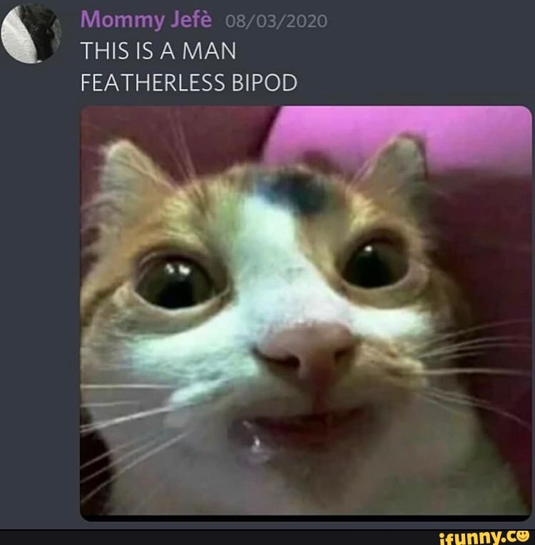 Mommy Jefe 2020 THIS IS A MAN FEATHERLESS BIPOD - iFunny