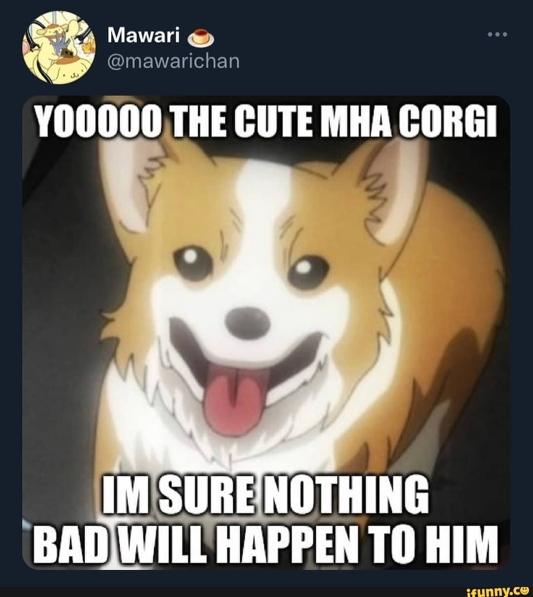 Mawari ve & ~ @mawarichan yooooo THE CUTE MHA CORGI IM SURE NOTHING BAD ...