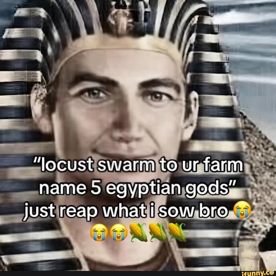 "locusi swarm to ur farm name egyptian gods" just reap whatisow bro ...