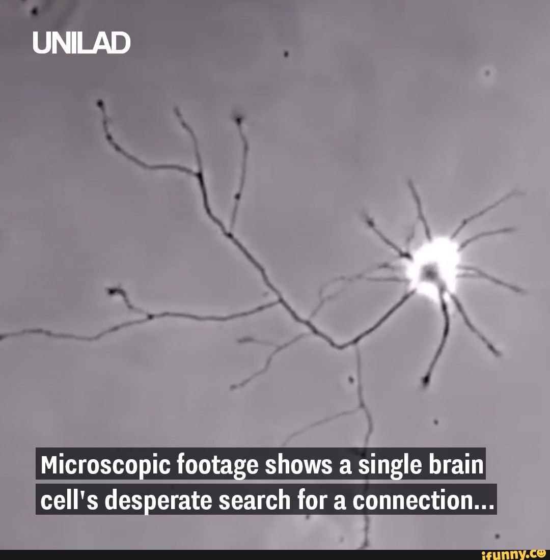 UNILAD Microscopic footage shows a single brain cell's desperate search ...