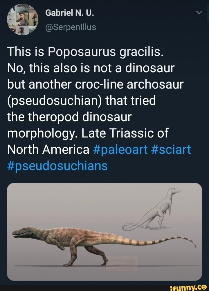 Poposaurus memes. Best Collection of funny Poposaurus pictures on iFunny