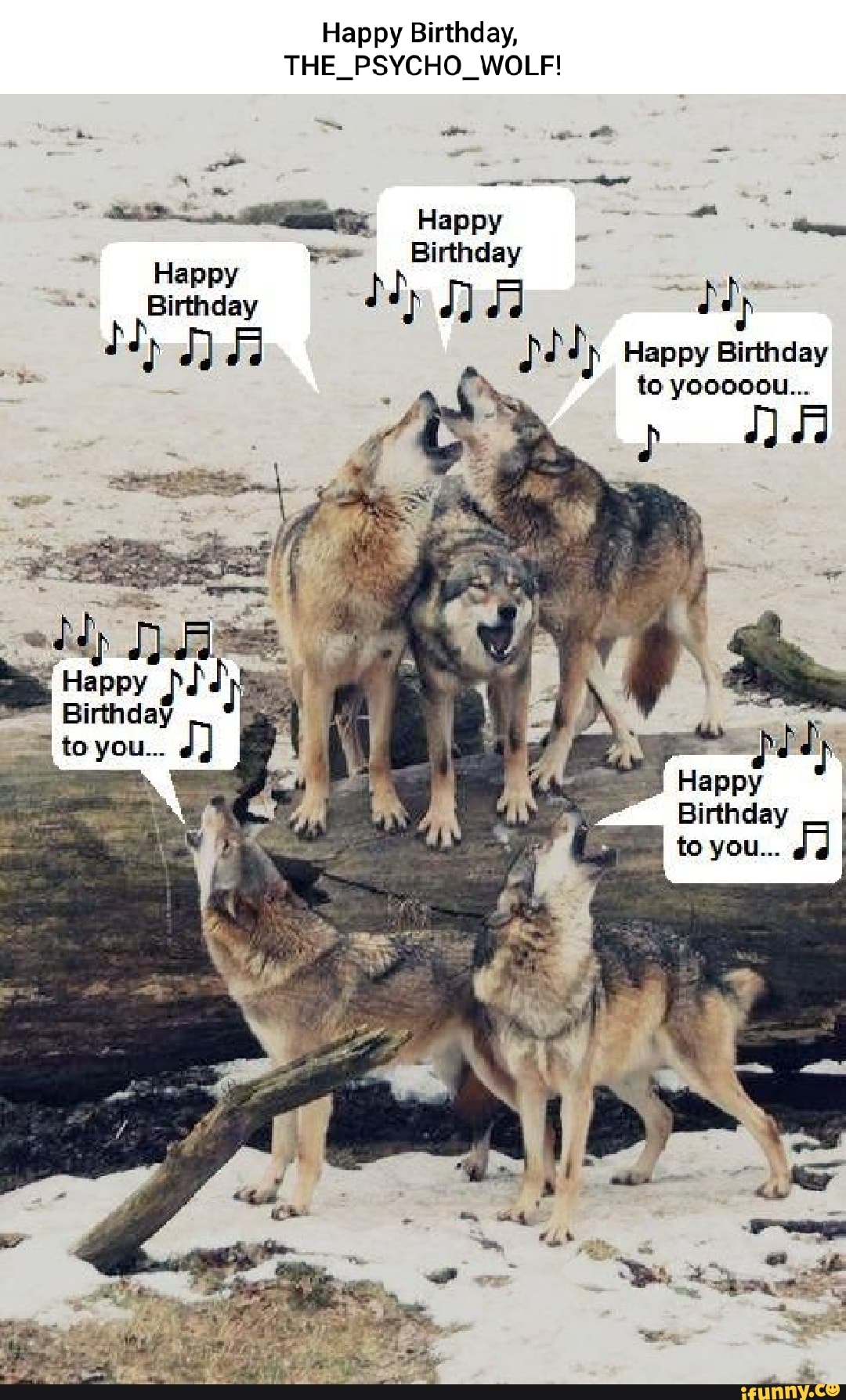 Happy Birthday, THE_PSYCHO_WOLF! Happy Birthday d) Happy Birthday ...