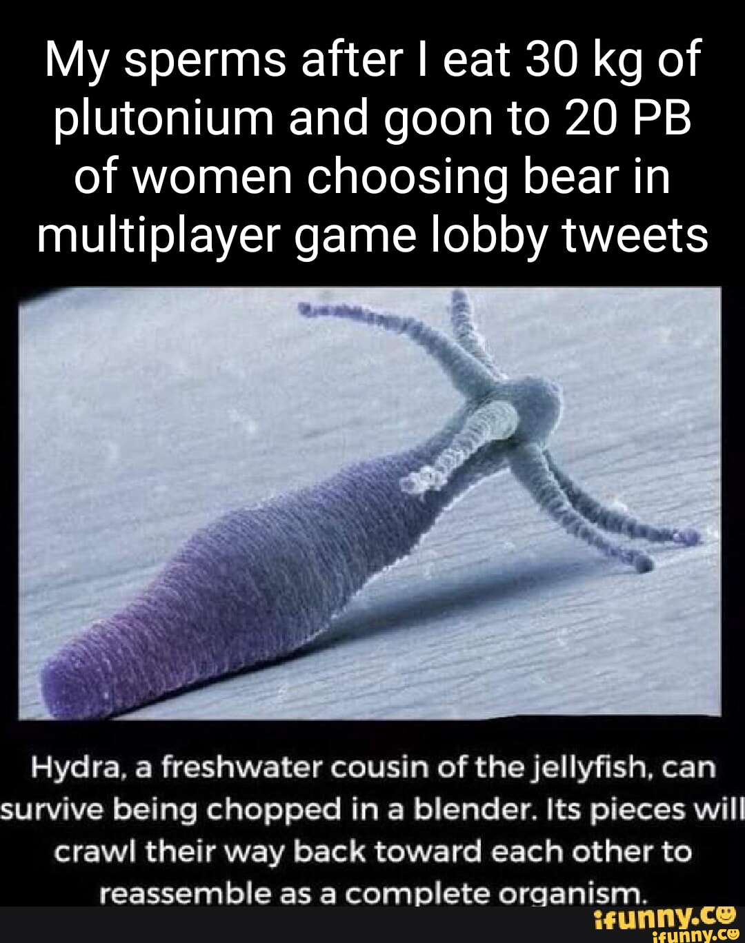 Plutonium memes. Best Collection of funny Plutonium pictures on iFunny
