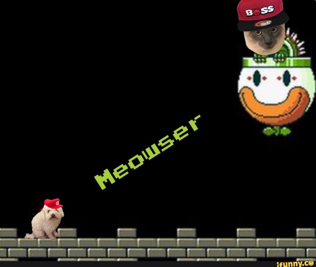 Meowser memes. Best Collection of funny Meowser pictures on iFunny